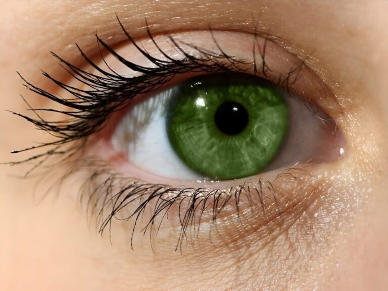 10 Interesting Facts About Green Eyes - Glambun - A Modern Digital Magazine